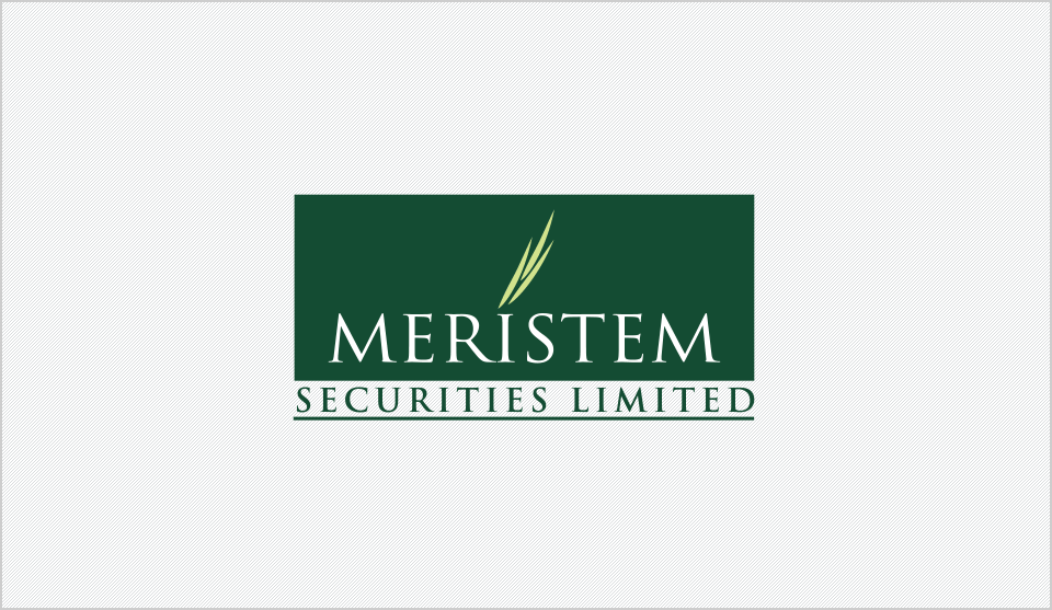 NGSE Partners Meristem On New Investment Style Indices – Invest Data